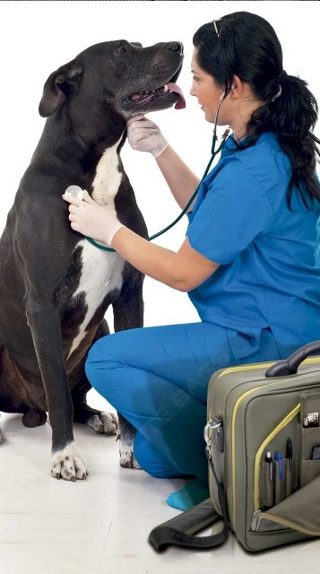 ELITE BAGS HOME CALL BAG VETERINARIAN Home care